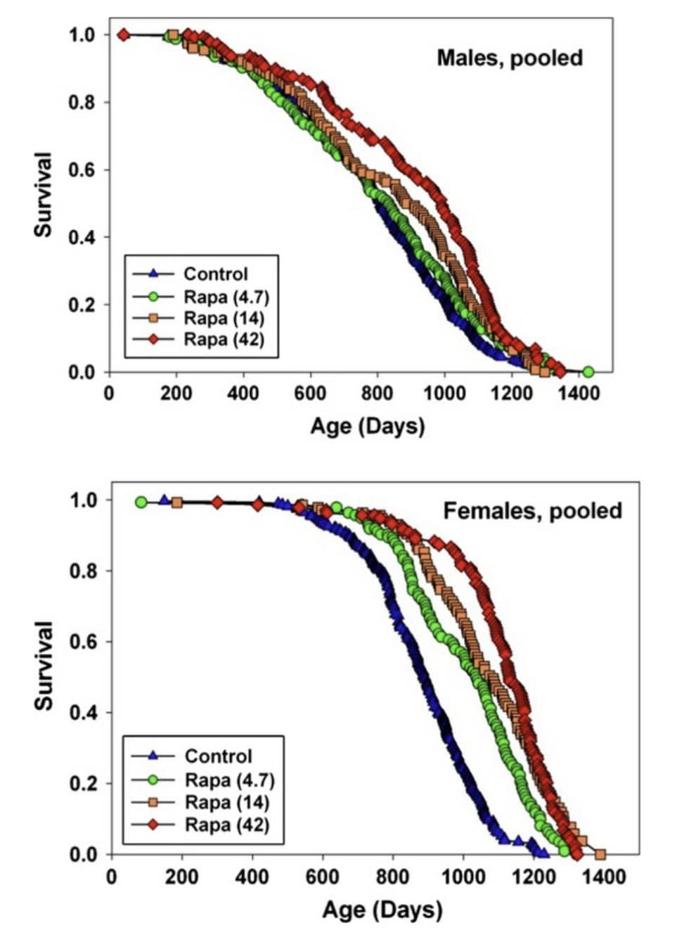 Rapamycin for Anti-Aging and Longevity Purposes